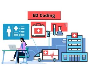 Softcode Solutions | Best Medical Coding Institute in Hyd
